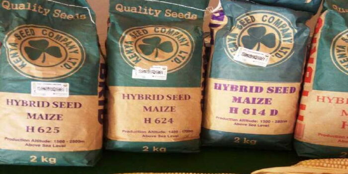 Maize Seed Prices Retained After Uproar - Kenyans.co.ke